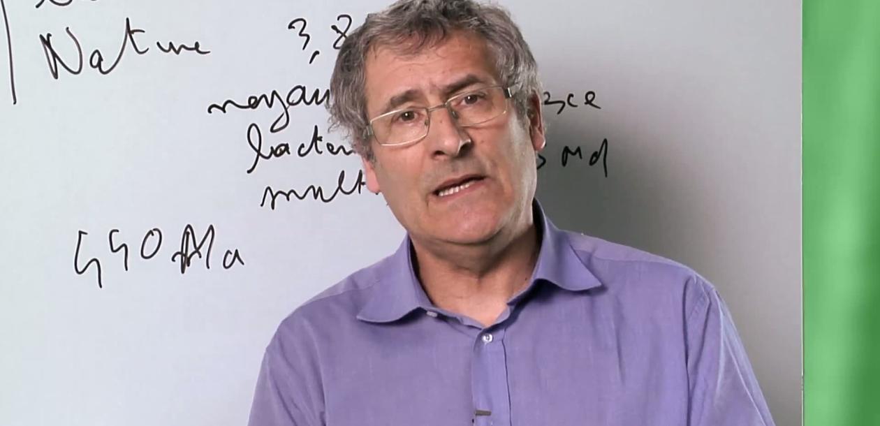 Nature et biodiversité | Le blob, l'extra-média