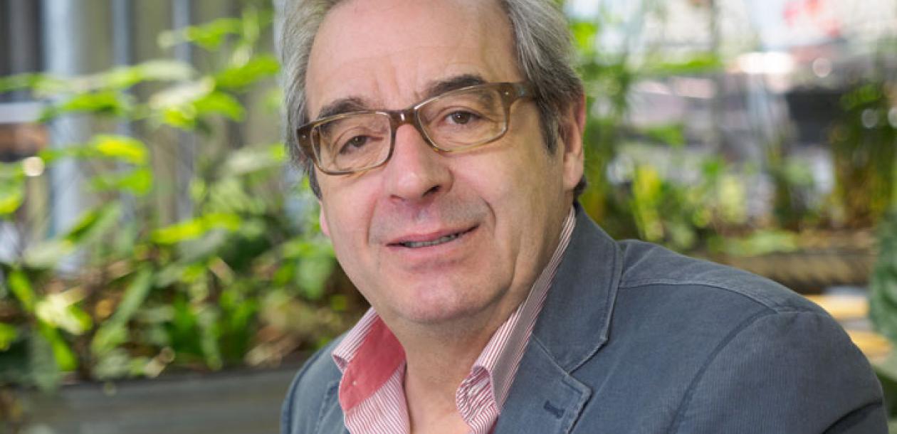 Pascal Picq et les migrations préhistoriques | Le blob, l'extra-média