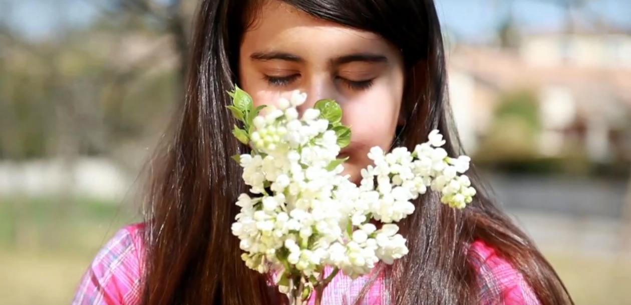 Le pouvoir des odeurs | Le blob, l'extra-média