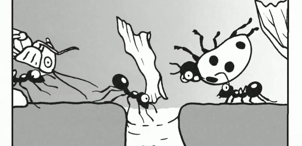 Les animaux ont-ils une culture ? | Le blob, l'extra-média Les animaux ont-ils une culture ? | Le blob, l'extra-média