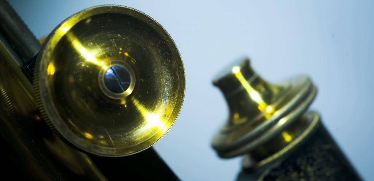 Microscopes | Le blob, l'extra-média