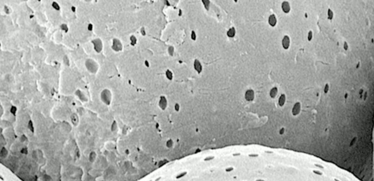 Capsules de polymères | Le blob, l'extra-média