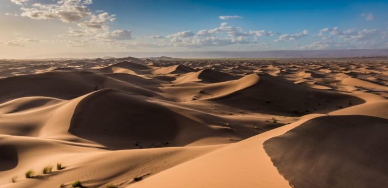 Le sable dans tous ses états | Le blob, l'extra-média
