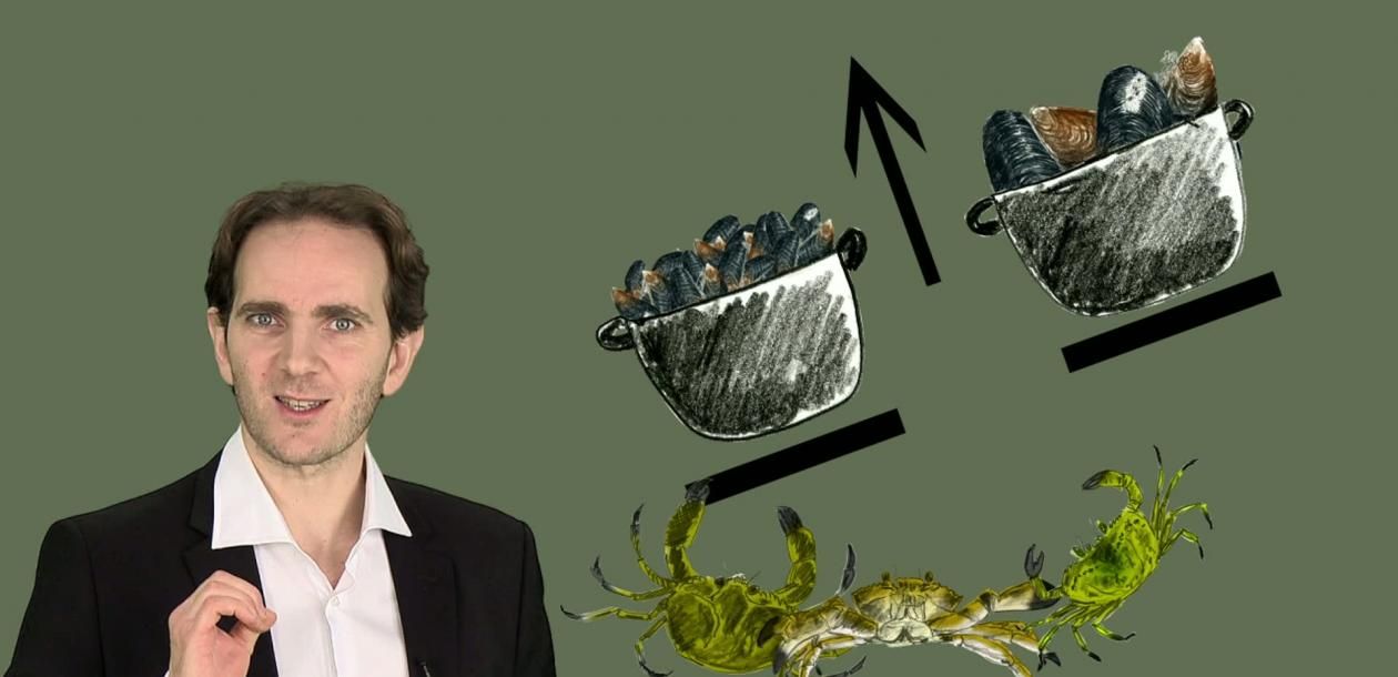 Sir John Krebs | Le "meilleur rapport qualité prix" chez les animaux