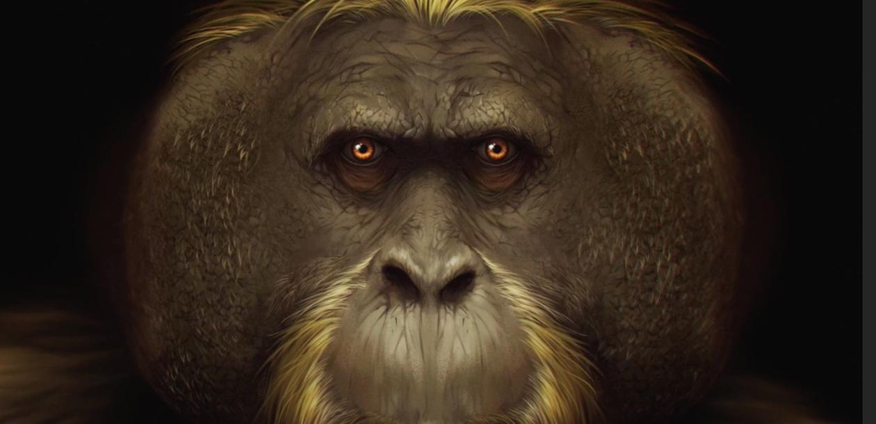 Qu’est-il arrivé à Gigantopithecus blacki ? | Le blob, l'extra-média