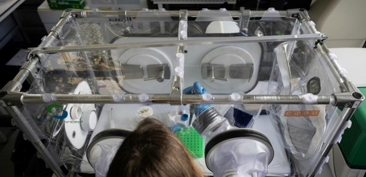 Dengue, grippe, rage… l’Institut Pasteur mobilisé en vue des JO | Le ...